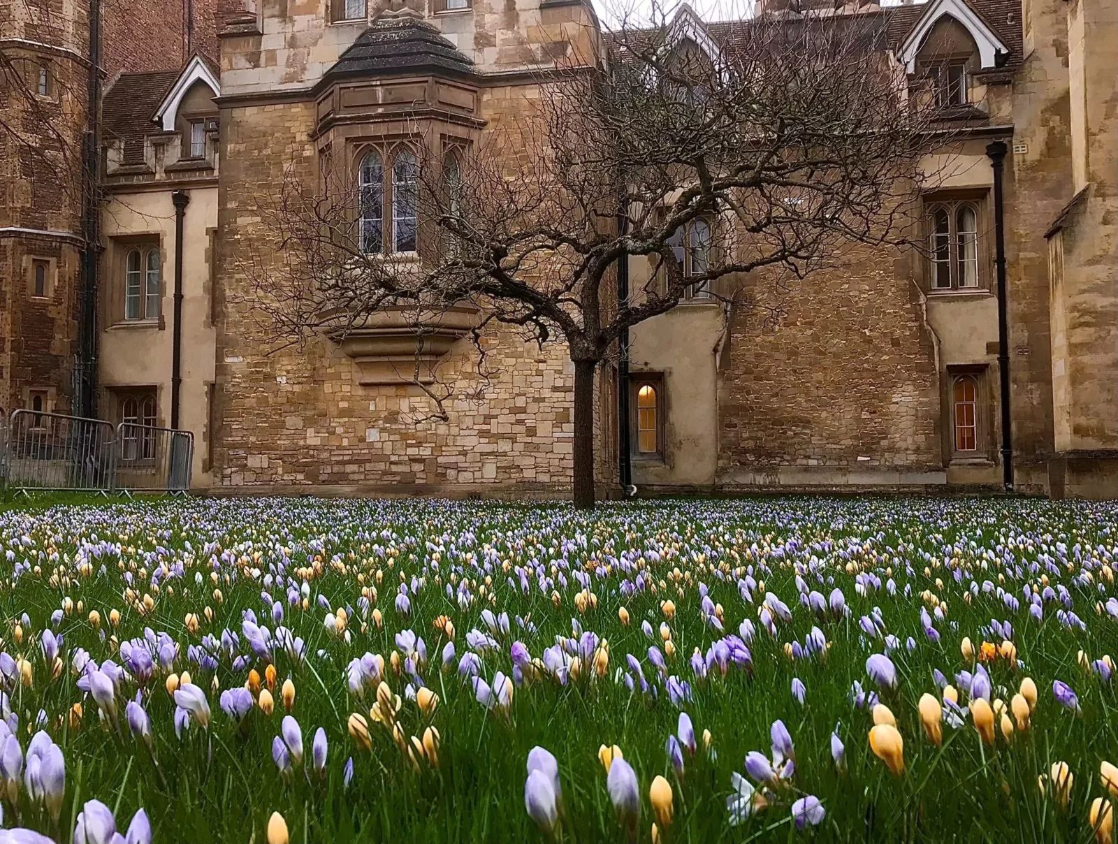 College Gardens - Trinity College Cambridge