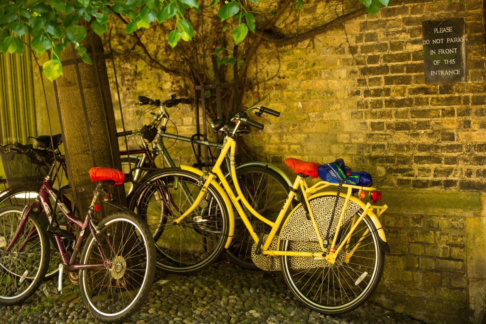 Cycle Safety - Trinity College Cambridge